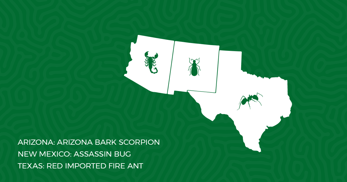 Pests By State