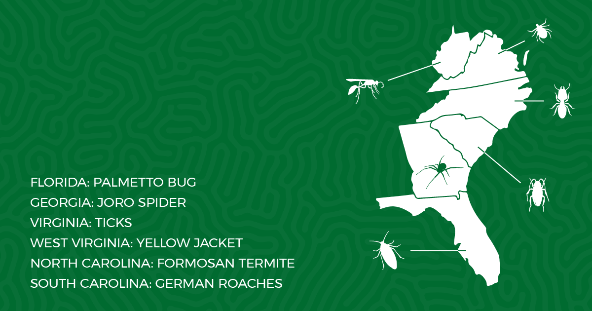 Pests By State